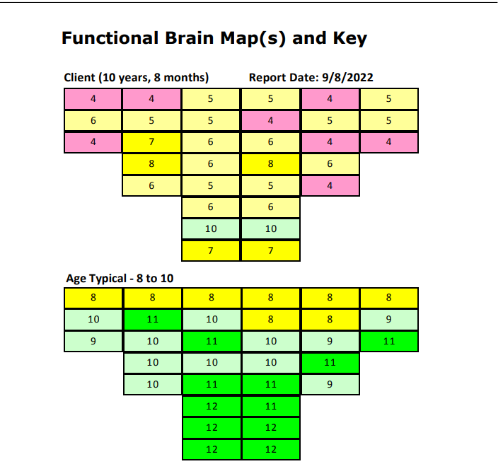 Brain Map – Multicultural Psychotherapy